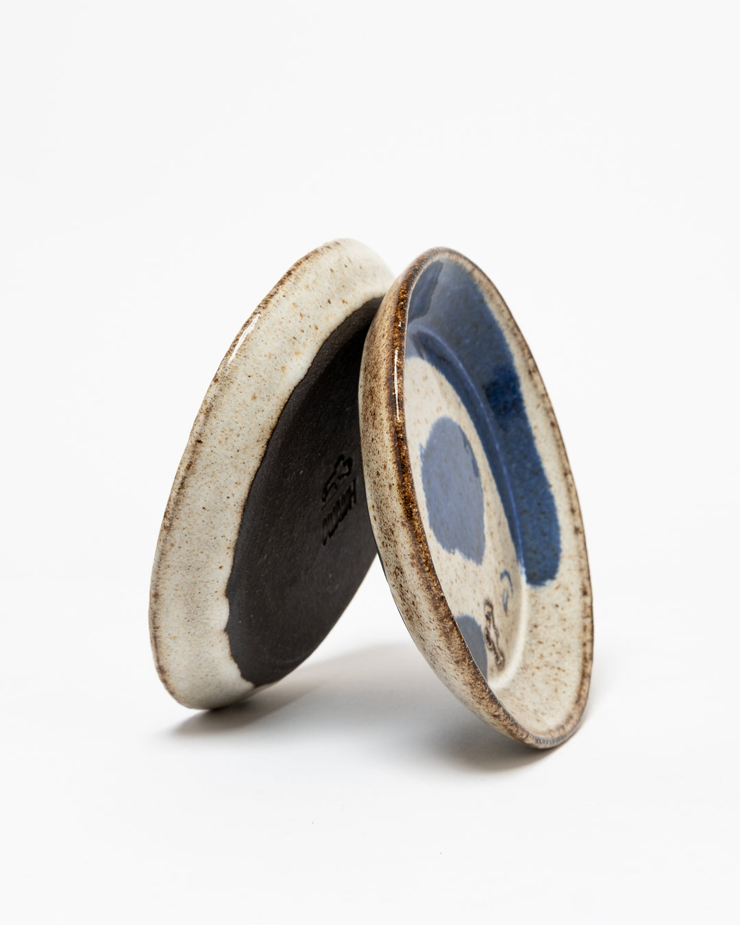 XS Plate Mushroom Blue Circle Brush – Eat Dust
